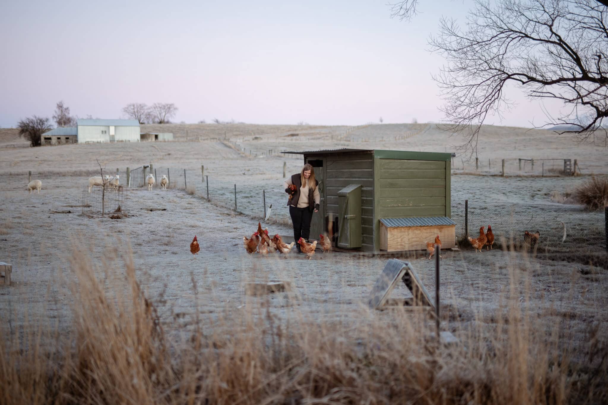 Home Sweet Homestead